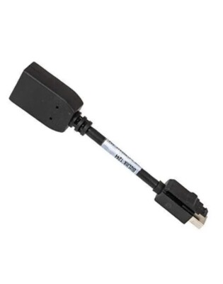 HP Mini DisplayPort Male to DisplayPort Female Adapter 703216-001 ...