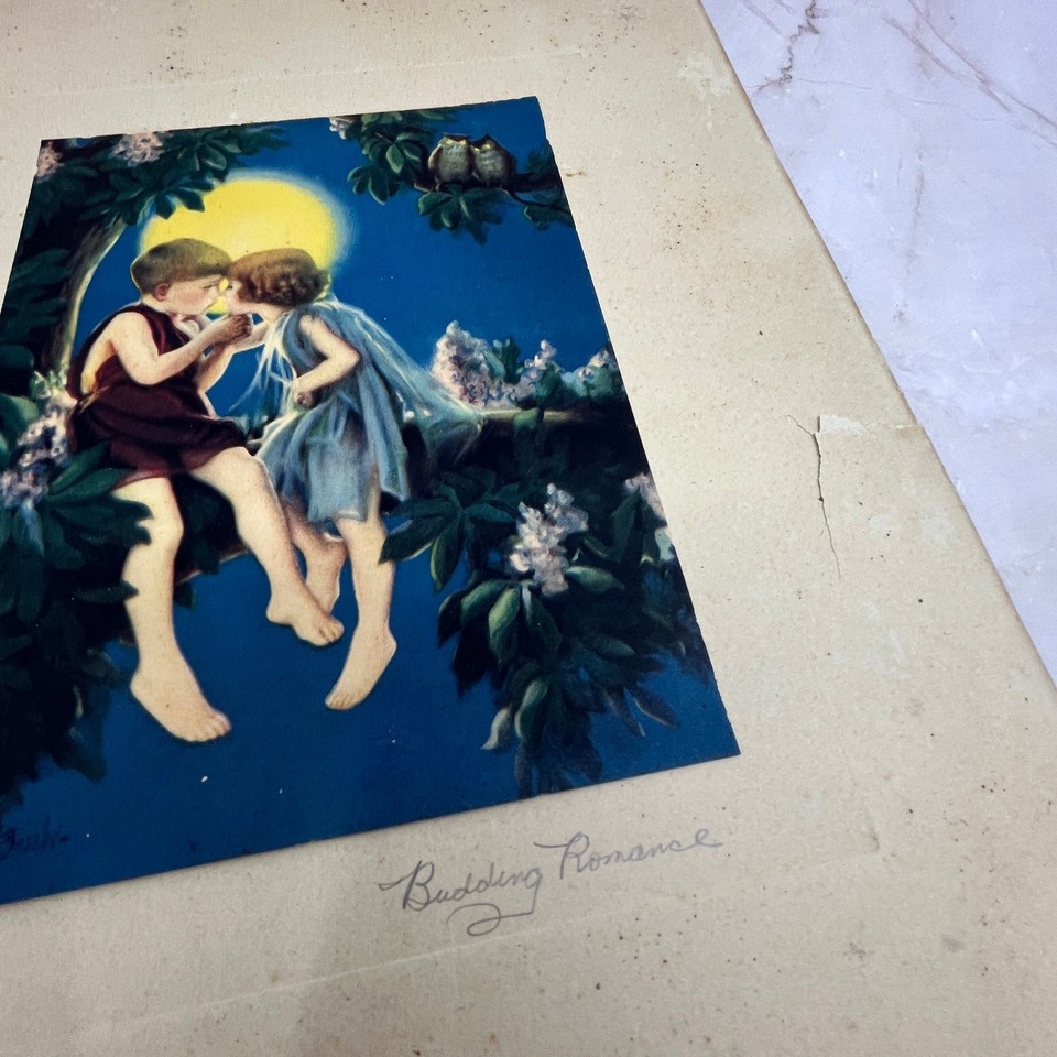Budding Romance Bertram Basabe Vintage Art Print 11x14 FL6-4 | eBay