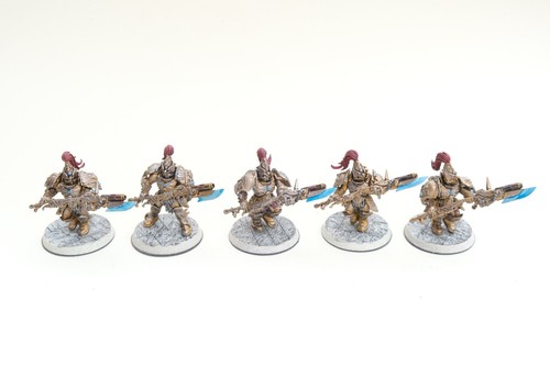 Warhammer 40K Adeptus Custodes Painted 3000 Points | eBay