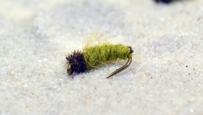 6 Ct - Z Wing Caddis Nymph Fishing Flies - Mustad Signature Fly Hooks ...