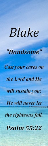 Blake "Handsome" Keepsake Name Meaning Bookmark with Bible Verse and ...