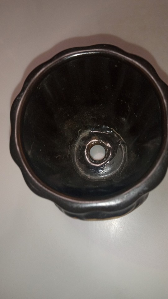 Dragon Bonsai pot Mame Cascade , 4 Inch ,Up-cycled Planter | eBay