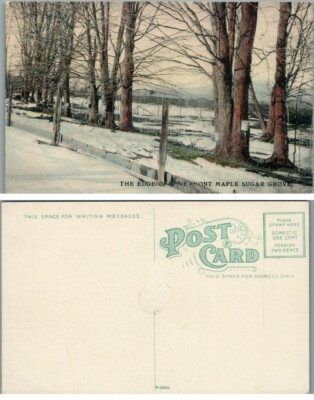 THE EDGE of VERMONT MAPLE SUGAR GROVE ANTIQUE POSTCARD | eBay