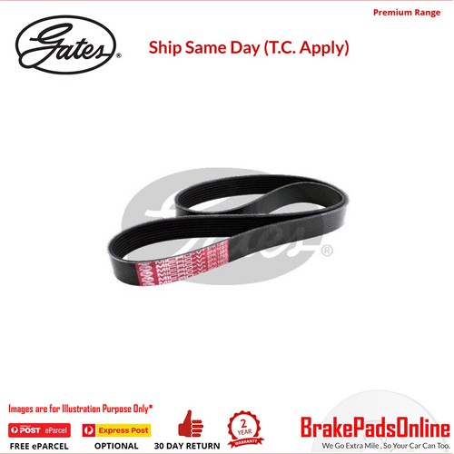 8PK1085 / K080427 MV AT V-Ribbed AT Belts 8552-2059 | eBay