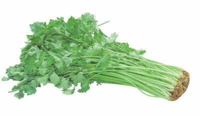 100+Chinese Celery Seeds Khuenchai Kan-tsai Kin-tsai Kunchoy Qincai ...