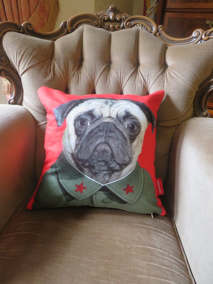 COMMUNIST CHINA CHAIRMAN MAU PUG TOY DOG RED ARMY LEADER CUSHION COVER ...