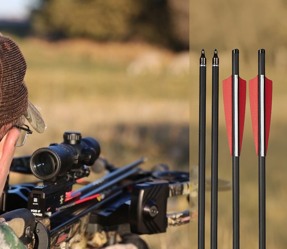 48 PACK Archery 20" Carbon Crossbow Arrows Crossbow Bolts 4" Vane OD 8. ...