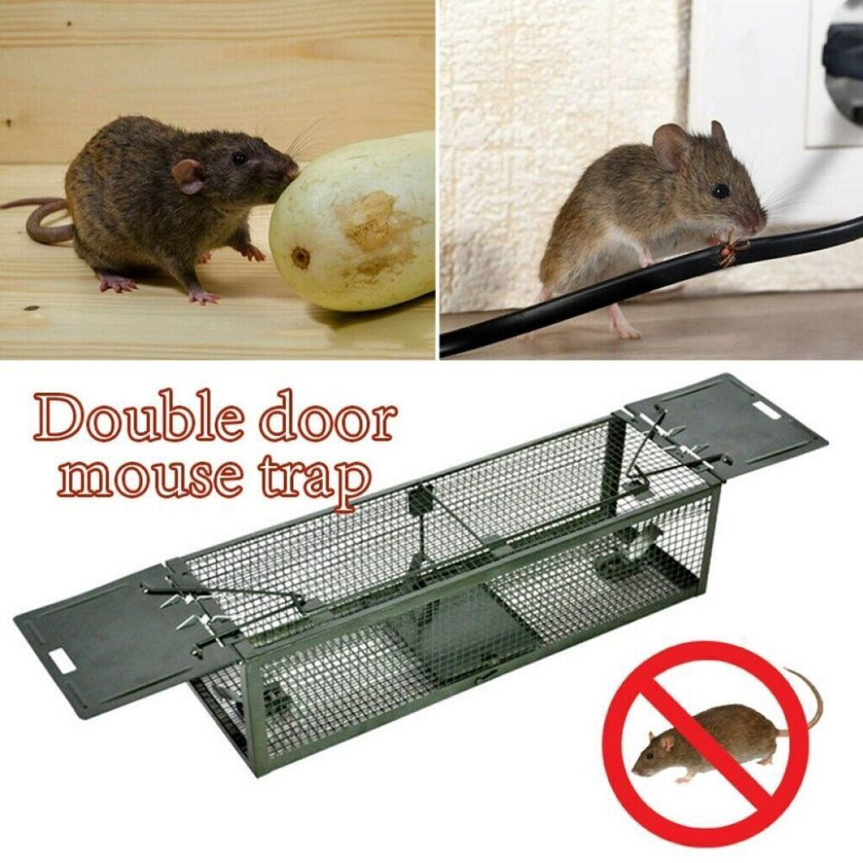 2 Door Rat Trap Squirrel Mouse Trap Rat Catcher Humane Live Heavy Duty ...
