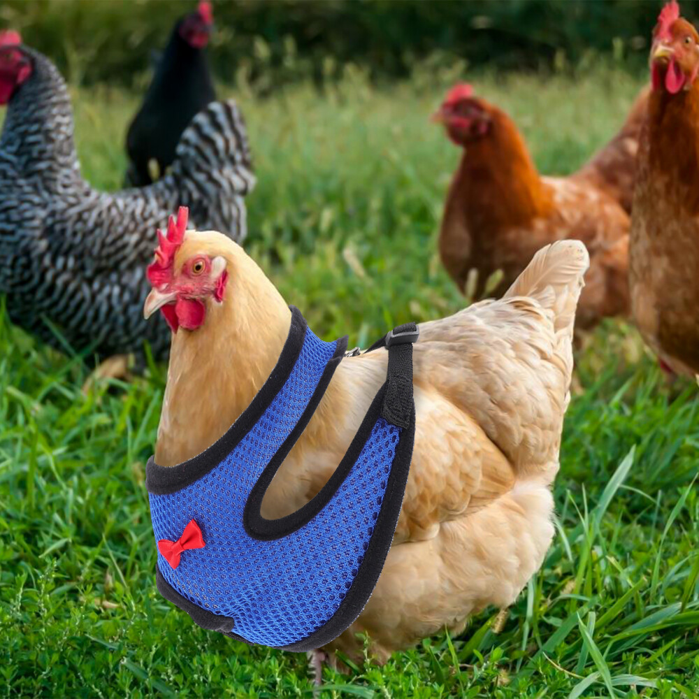 Nylon Sandwich Mesh Chicken Duck Goose Vest Walking Harness with Leash ...