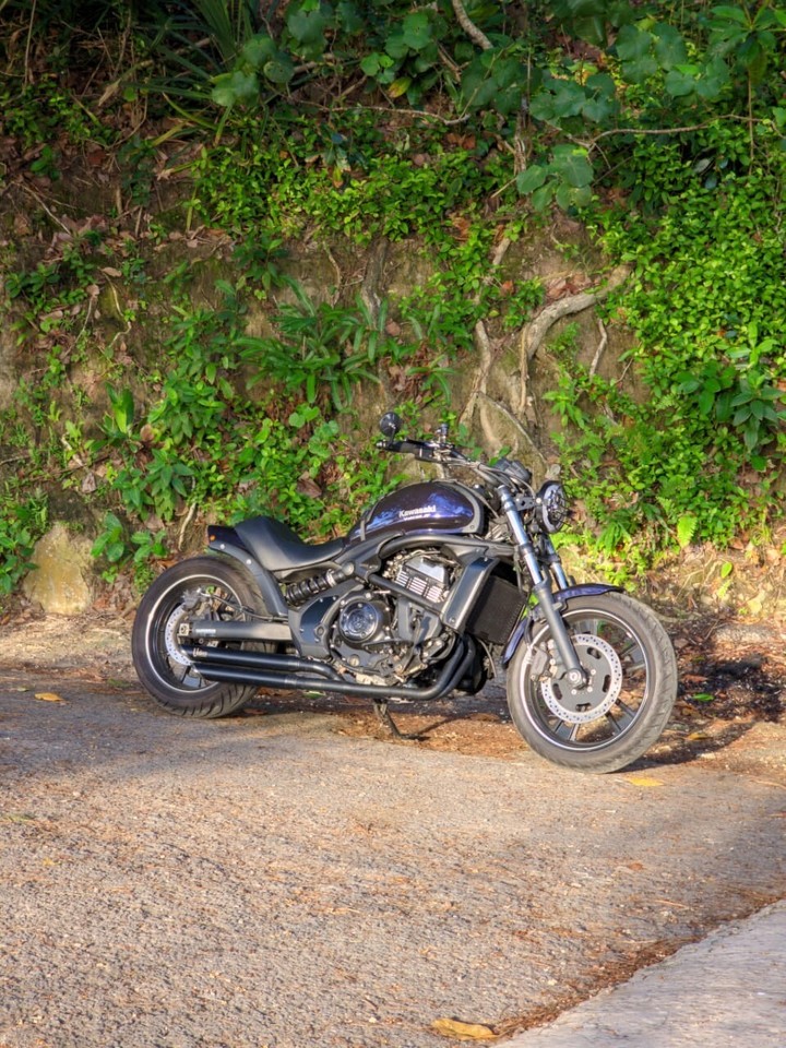 2015-2024 Kawasaki Vulcan S 650 Full System Dual Straight Exhaust Model ...