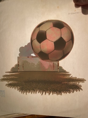 Soccer Ball Vintage RARE Iron-On Transfer Roach - Gem