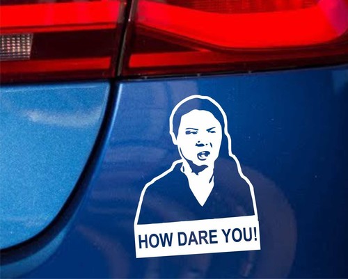 How dare you greta thunberg decal sticker white black window funny meme ...