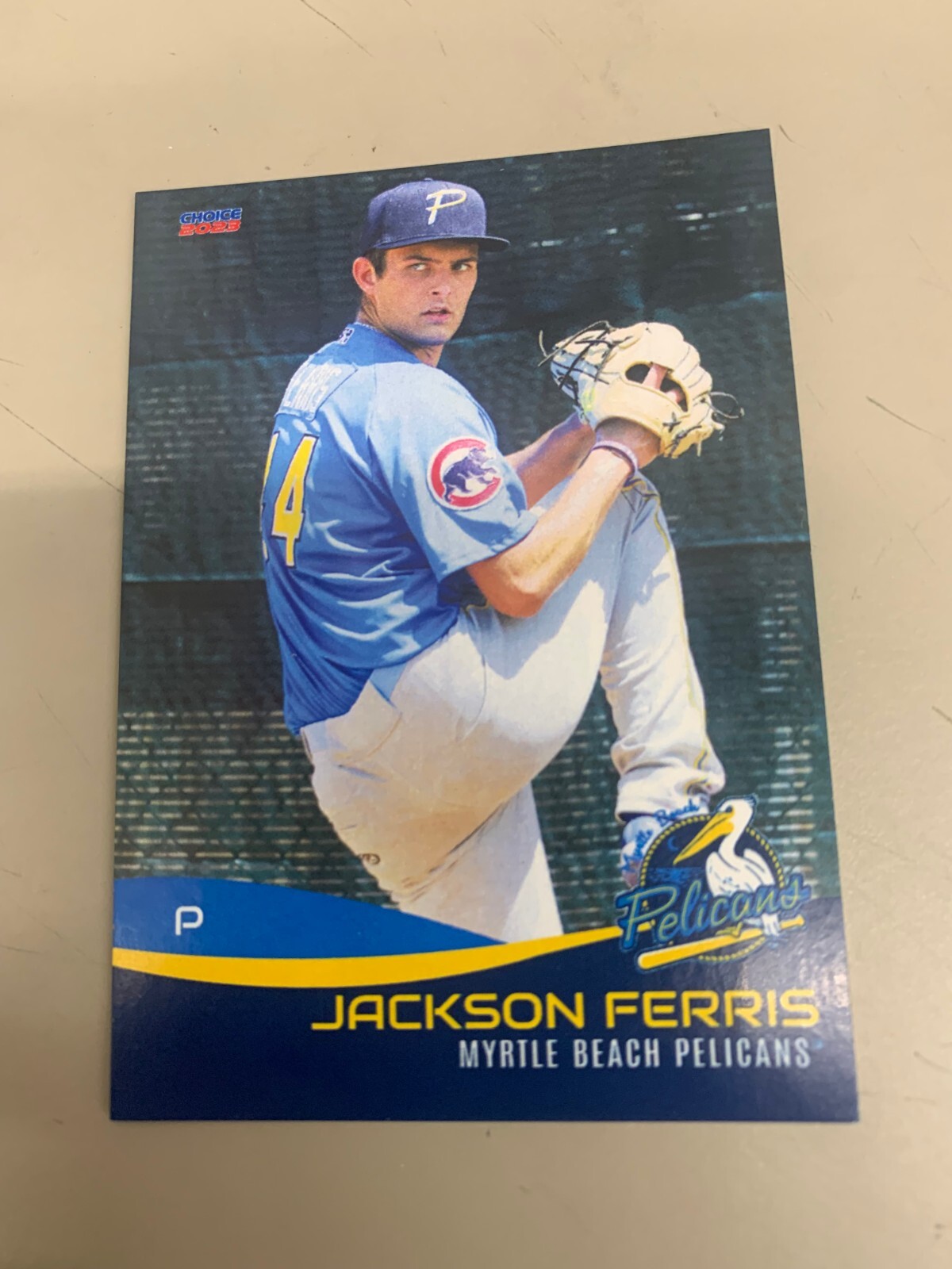 Jackson Ferris Card 2023 Myrtle Beach Pelicans Team Card | eBay