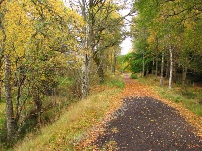 Photo 6x4 Killin Branch Monemore A railway once linked Killin and Loch ...