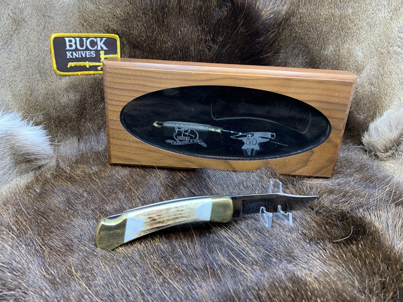 Buck RMEF 110 Folding Hunter Knife With Elk Handles In Walnut Display ...