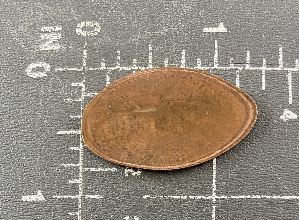 Birch Aquarium At Scripps Whitetip Shark La Jolla SD California ...