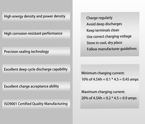 2X Reliable 6V 4.5AH Sealed Lead-Acid Battery – Long-lasting Power ...