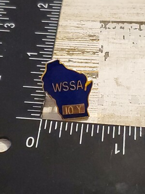 10 year Vintage Wisconsin WSSA Social Services State Gold Tone Blue ...