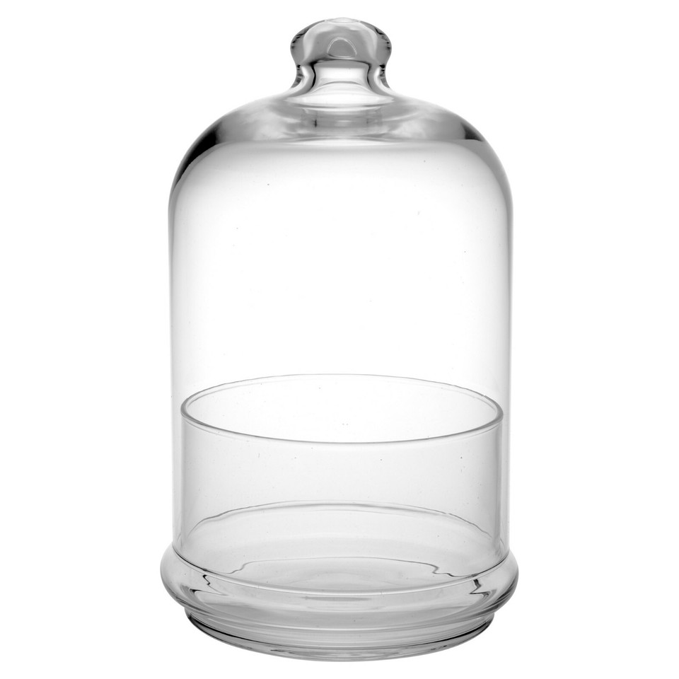 2 x Cloche Glass Dome Jar Bell Pastry 20cm Decorative Stand Food Plant ...