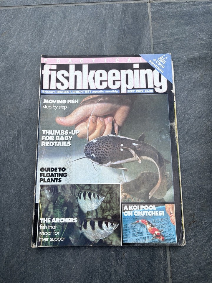 Vintage 1980s Practical Fishkeeping Magazines Job Lot Indoor Aquarium ...