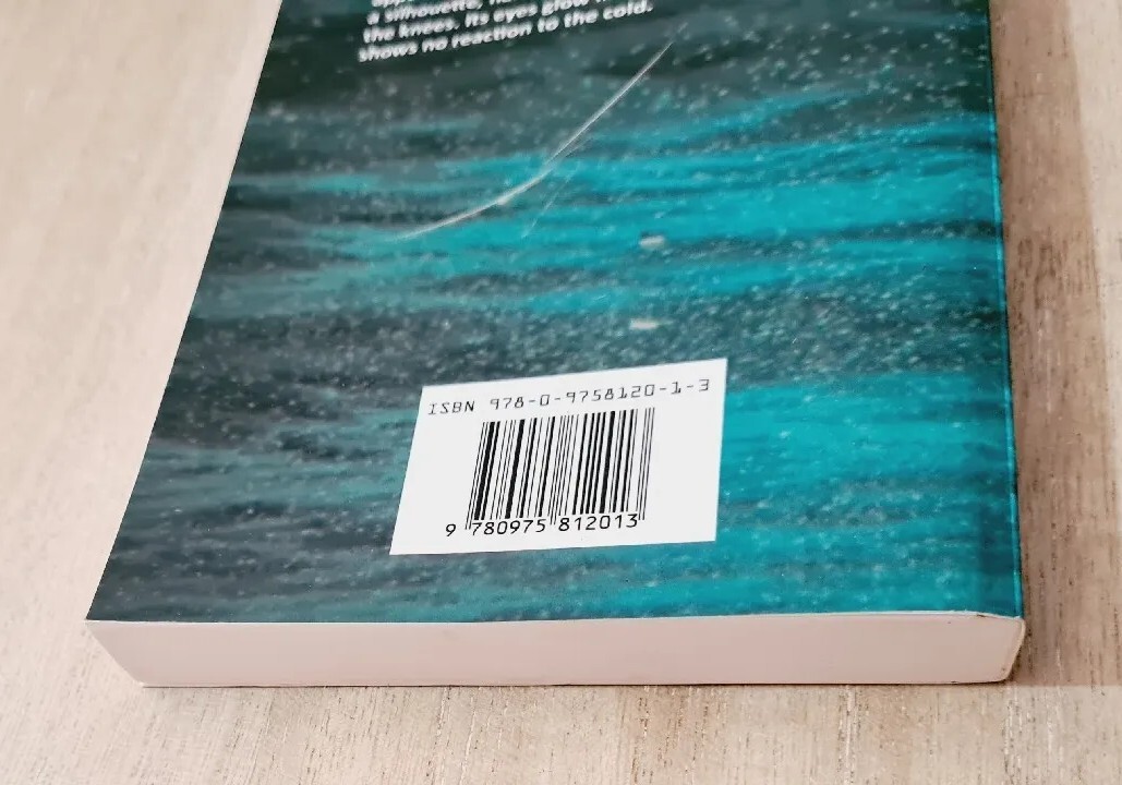 Saltwater in the soul: Book one in Saltwater Series by Sowerby, Susan ...