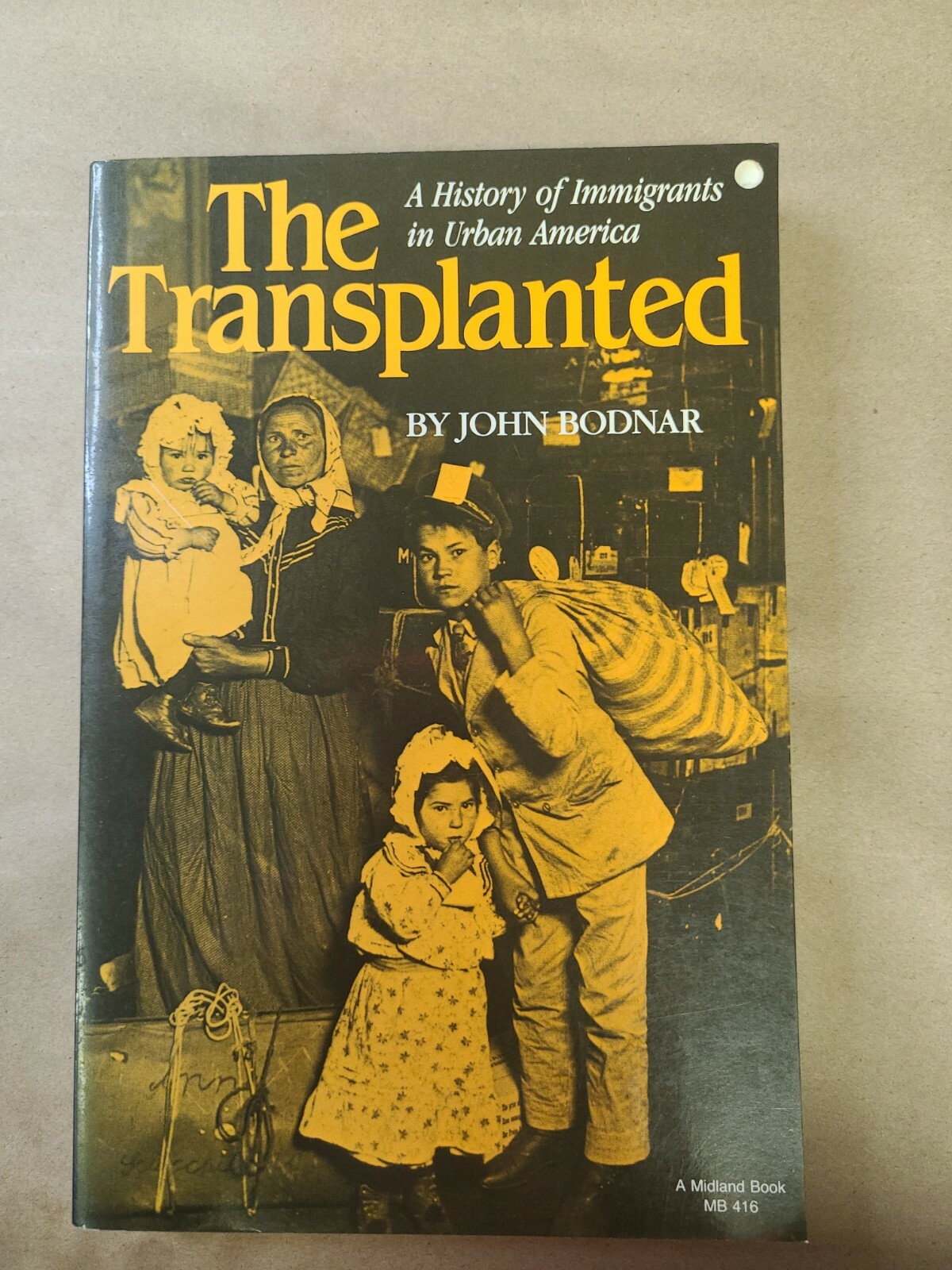 The Transplanted : A History of Immigrants in Urban America by John ...