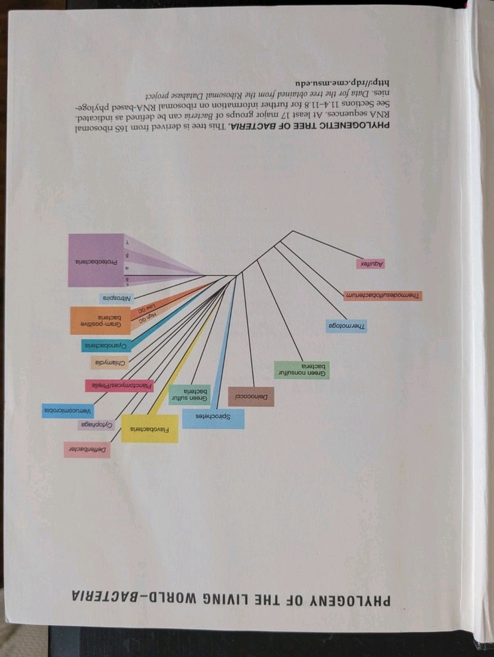Brock Biology of Microorganisms 10th Edition Michael T. Madigan Book | eBay