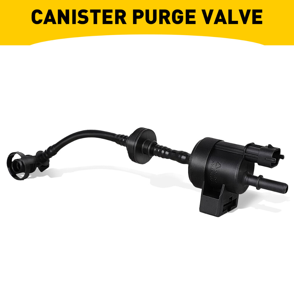 Car Purge Valve