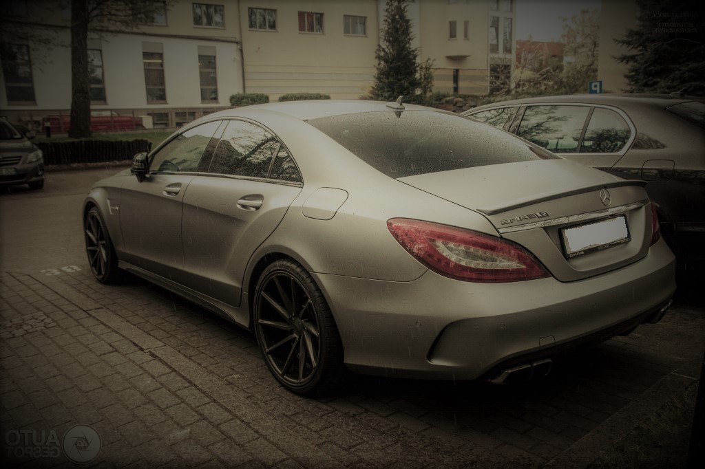 Mercedes Benz CLS C219 Adjustable Lowering Kit Links Air Suspension ...