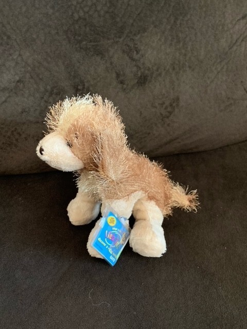 Webkinz American Cocker Spaniel w/ Code Unused 661371108476 | eBay