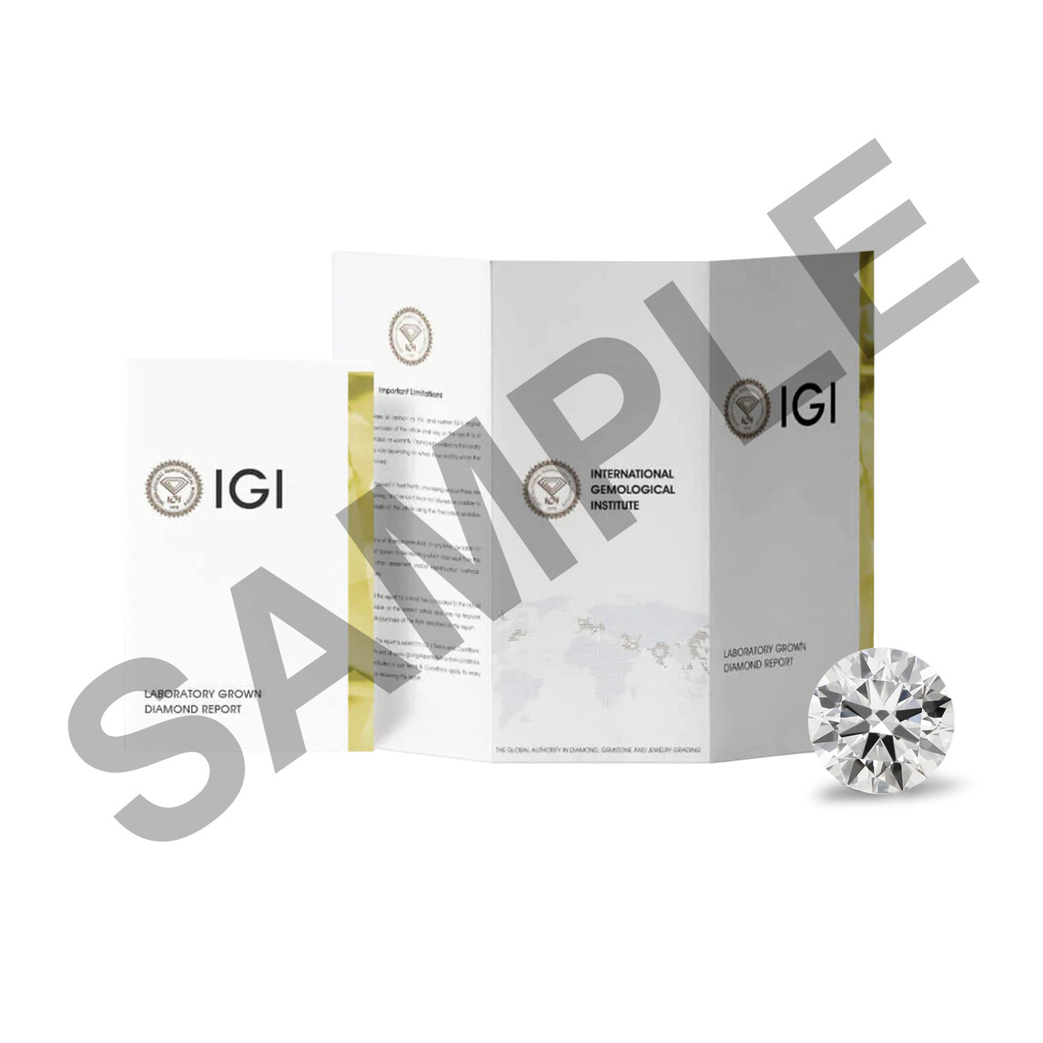 IGI Certified 4 Carat Lab Grown Diamond Studs Earrings In 14k White ...