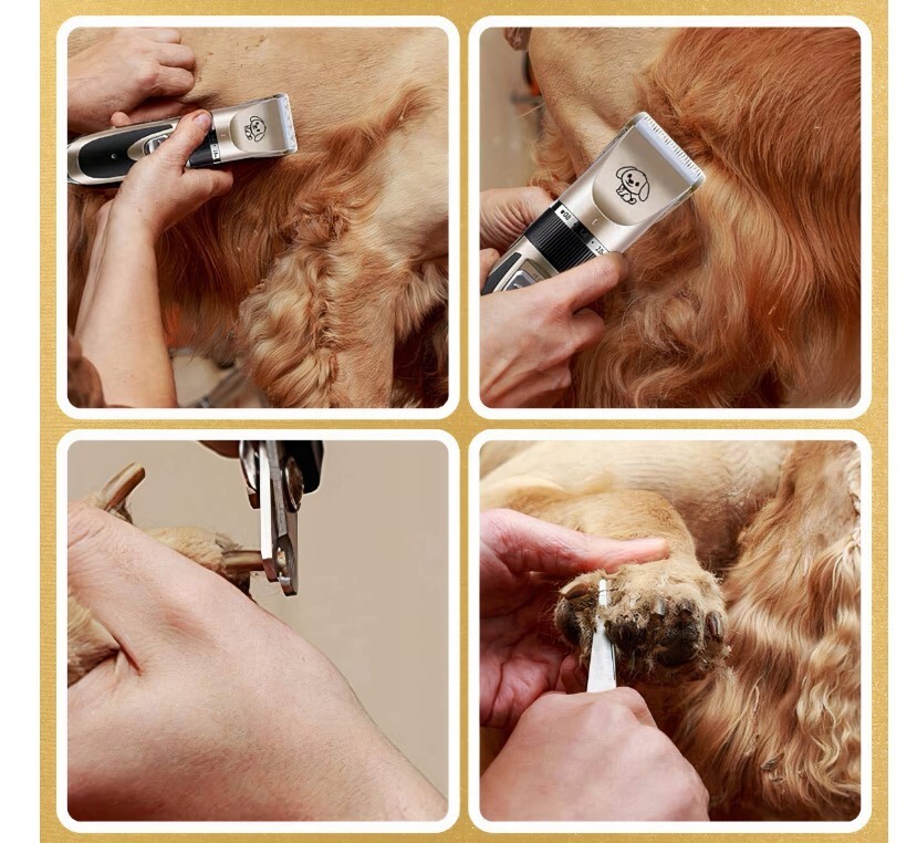 Dog Grooming Machine Anima Cut Hair Professional Cordless Pet Cutting ...