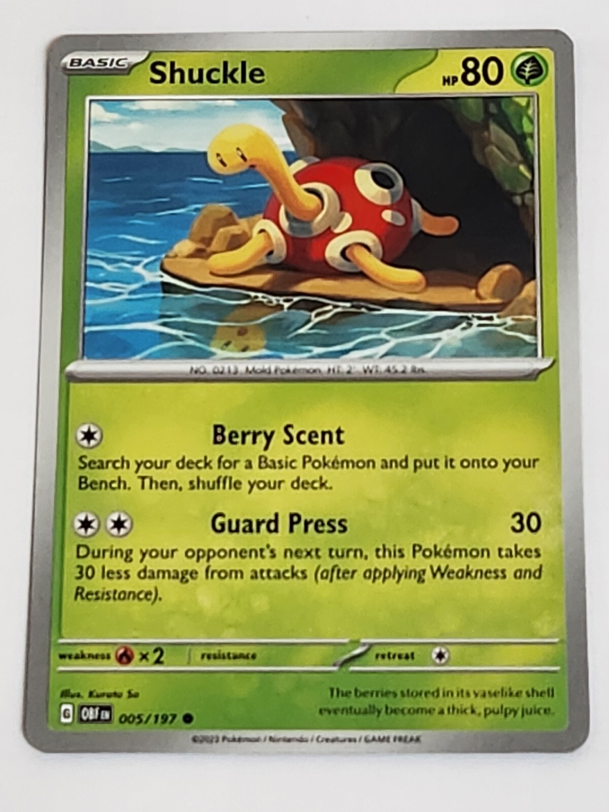 Shuckle #5/197 SV Obsidian Flames Common Pokemon 2023 TCG Card | eBay