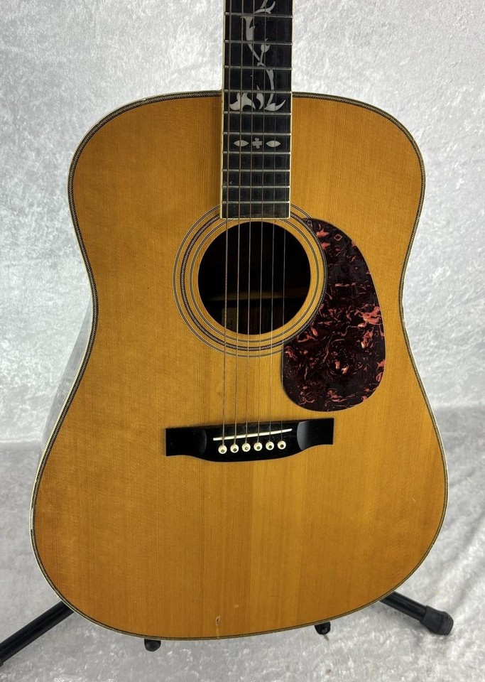 Samick SF 35HS acoustic guitar with case | eBay