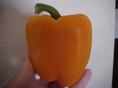 75 SEEDS ORGANIC RARE BRIGHT EXTRA LARGE ORANGE "SWEET" BELL PEPPER ...