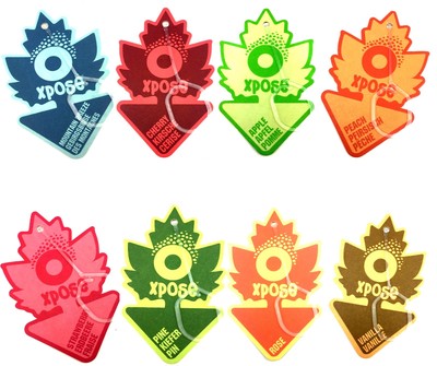 10 Auto Duft Duftbaum Lufterfrischer SET Duftspender Vanille Büro ...