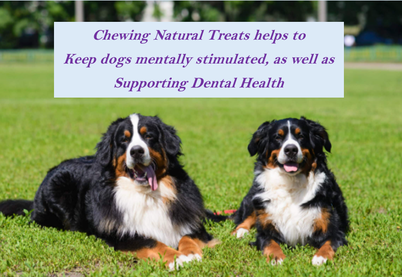 100% Natural Rabbit Ears + Fur a natural De-wormer & Digestive Aid for ...