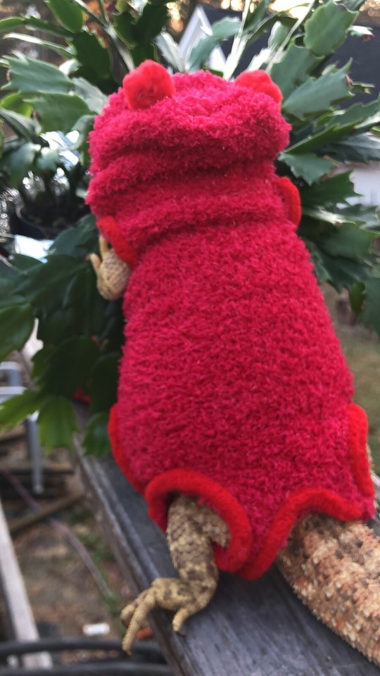 RED SOFT FUR SNUGGY #6 XLRG SLEEVELESS BODY SHIRT HOODY 4 UNISEX ...