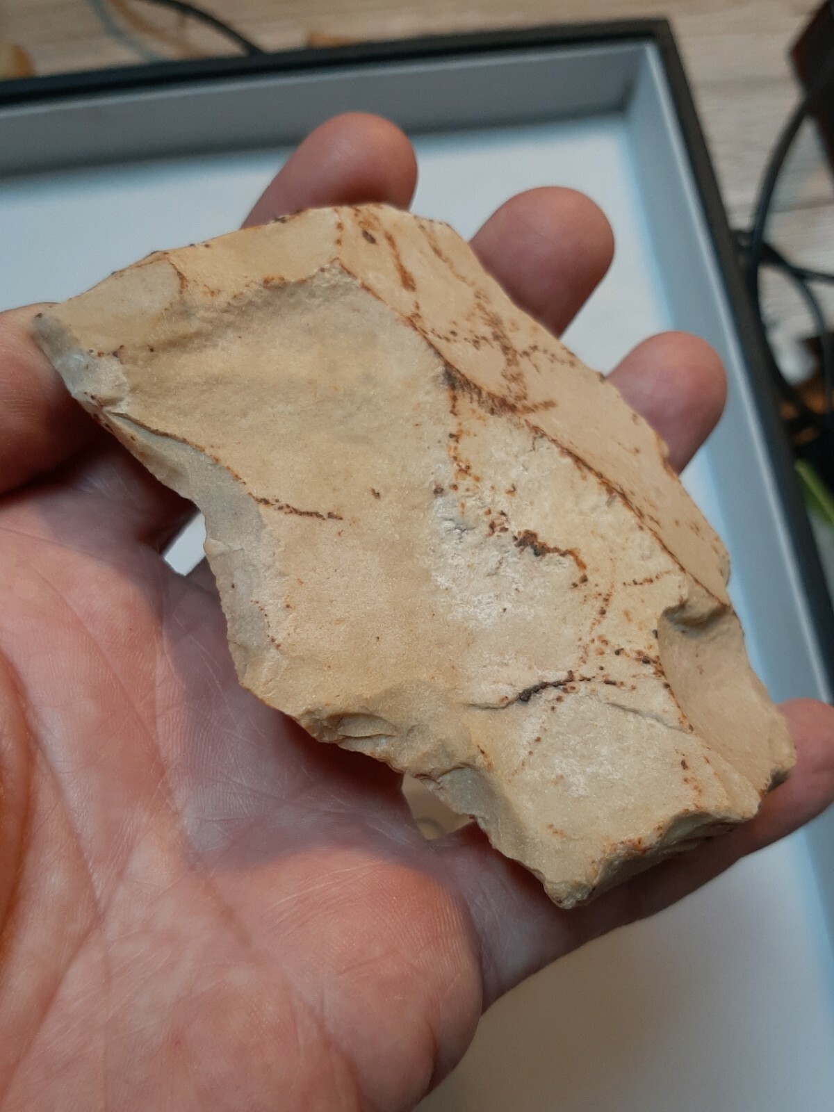 Middle Paleolithic - Large Mousterian denticulate on Levallois flake ...