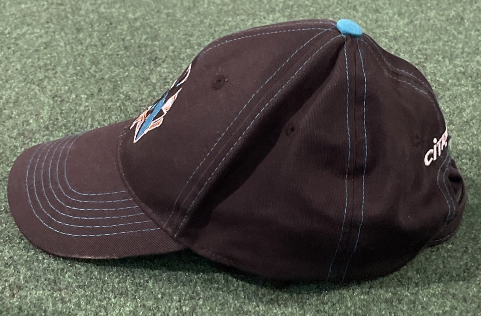 San Jose Sharks Hat Citrix Logo NHL Hockey Baseball Adjustable Cap | eBay