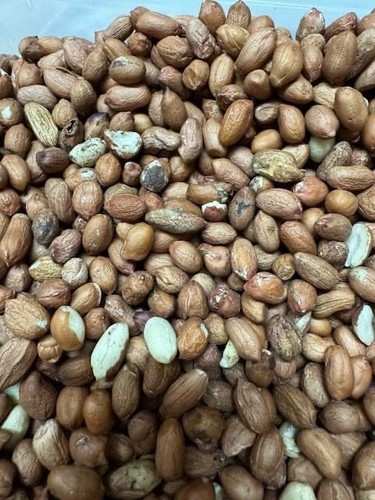 Peanuts Whole 5kg Safe Wild Bird Food Nuts Afflotoxin Free | eBay UK