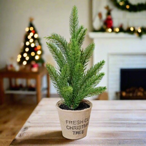 Primitive Farmhouse Christmas 11" Fresh Cut Spruce Pine Tree | eBay