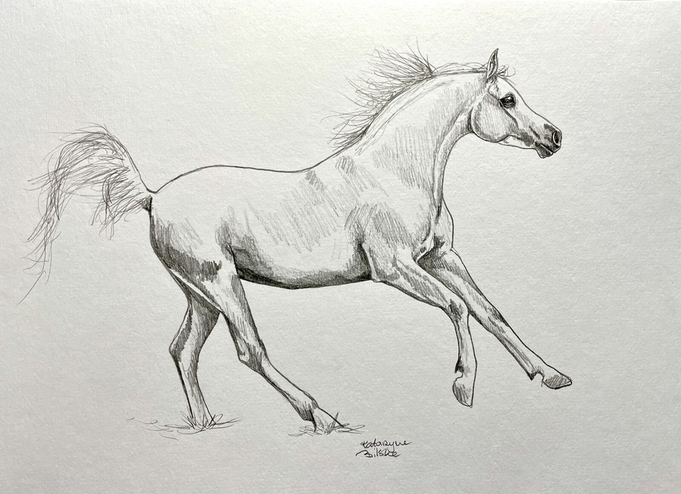 Original Drawings Art Pencil Set 5 sketches Dynamic horses 8”x10" A4 ...
