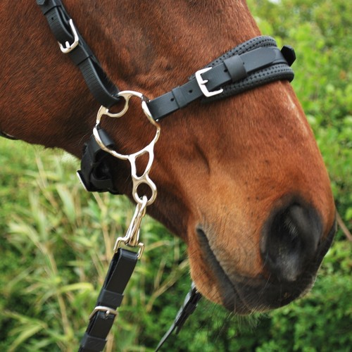 Barefoot style Hackamore Bitless Noseband (Large) | eBay