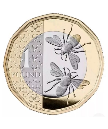 New £1 Pound BEES Coin King Charles 2023 UNCIRCULATED from sealed bag ...