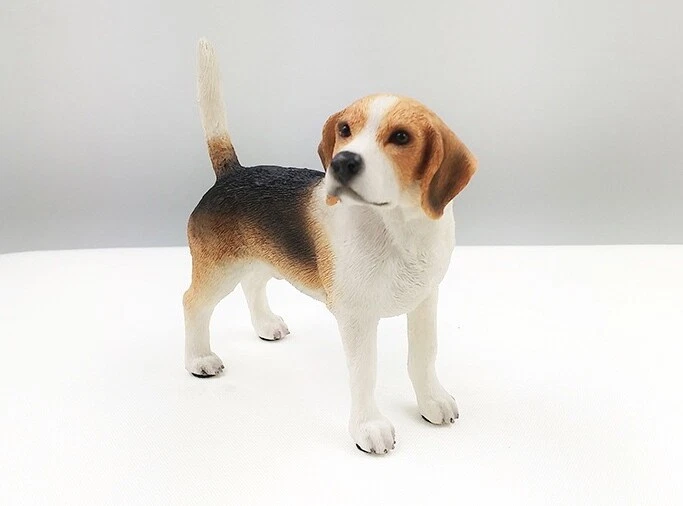 Miniature Beagle