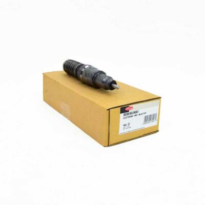 New Delphi Diesel Injector BEBE4D24001 | eBay