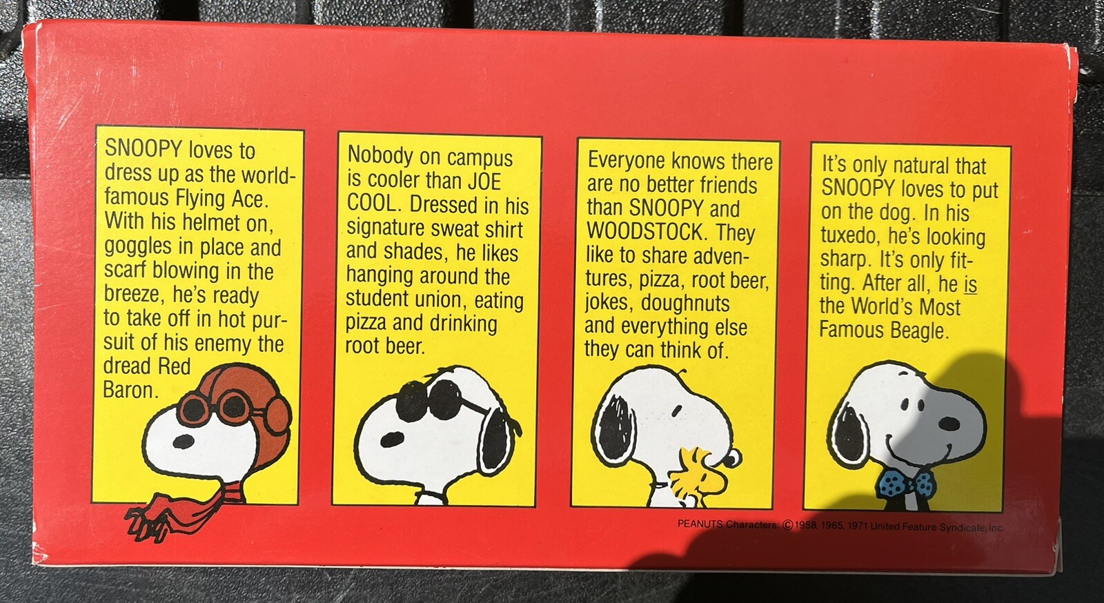 Snoopy 40th Anniversary Collection by Applause Presents Figurines ...