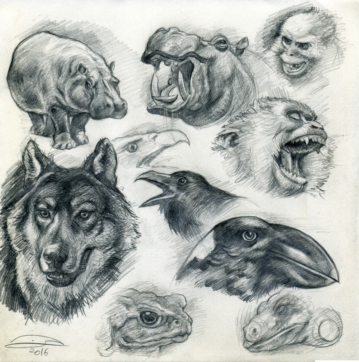 Pencil Sketch Images Of Animals Easy Pencil Sketch Of Cartoon Animals