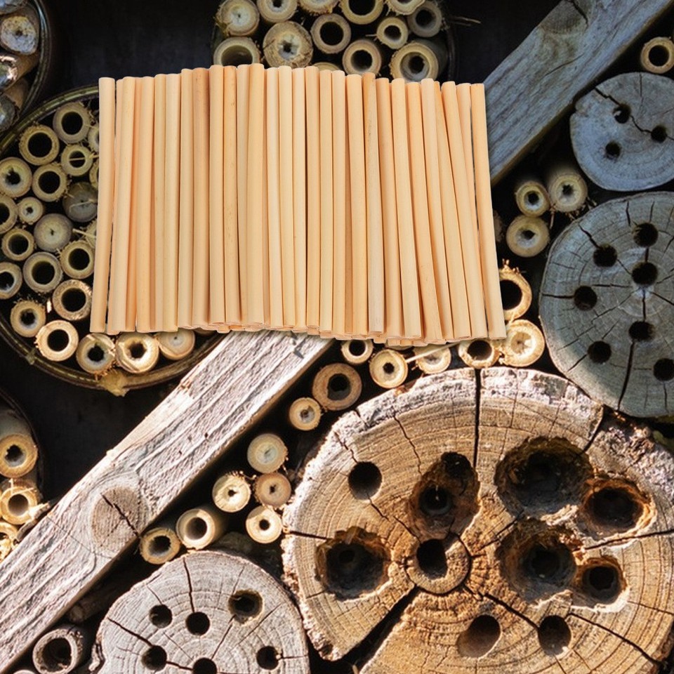 2 Pack Honey Bee Hive Tubes Reeds Mason Replacement Father Refill | eBay